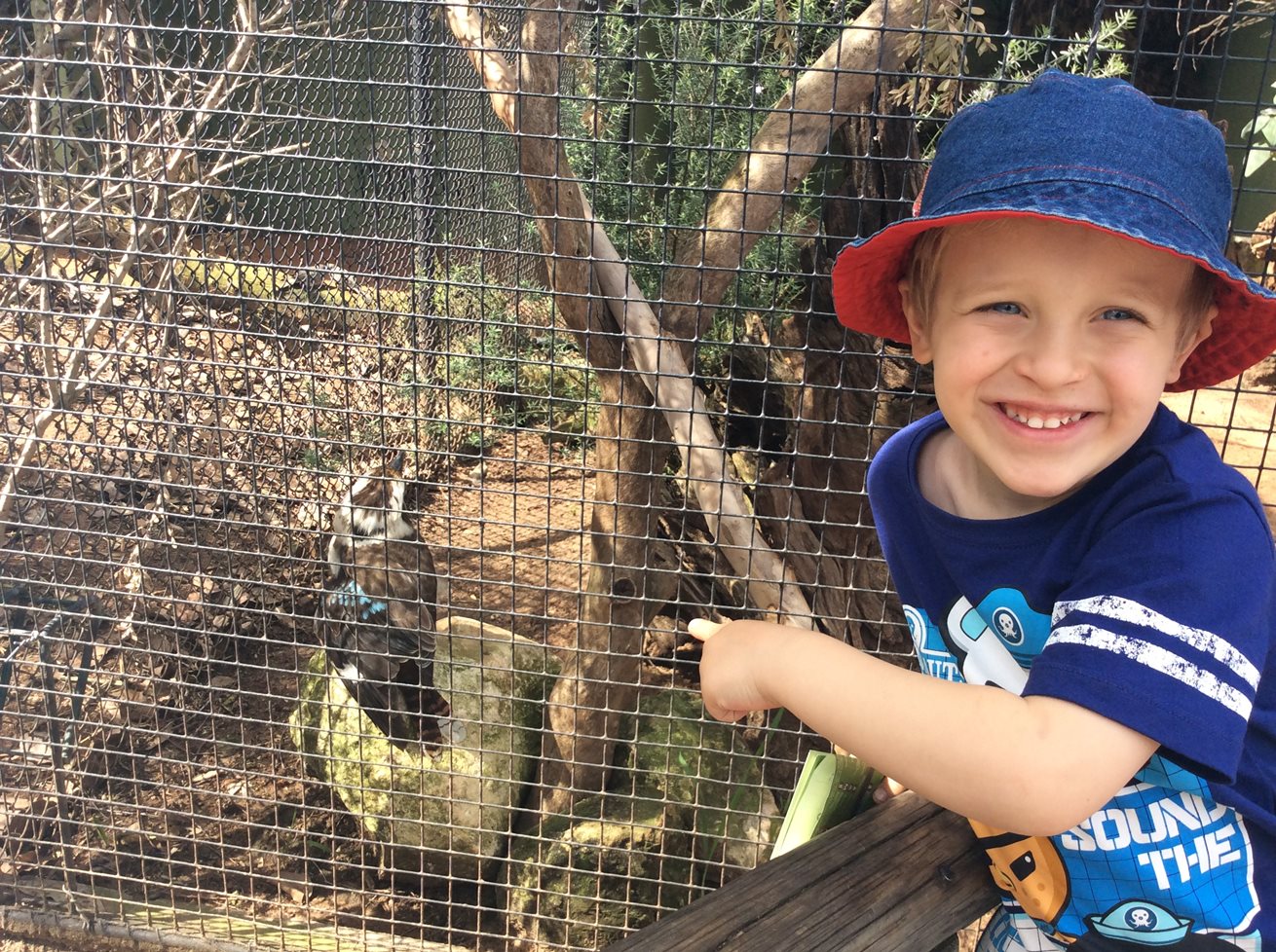 Zoo visit for all of the family | Goodstart