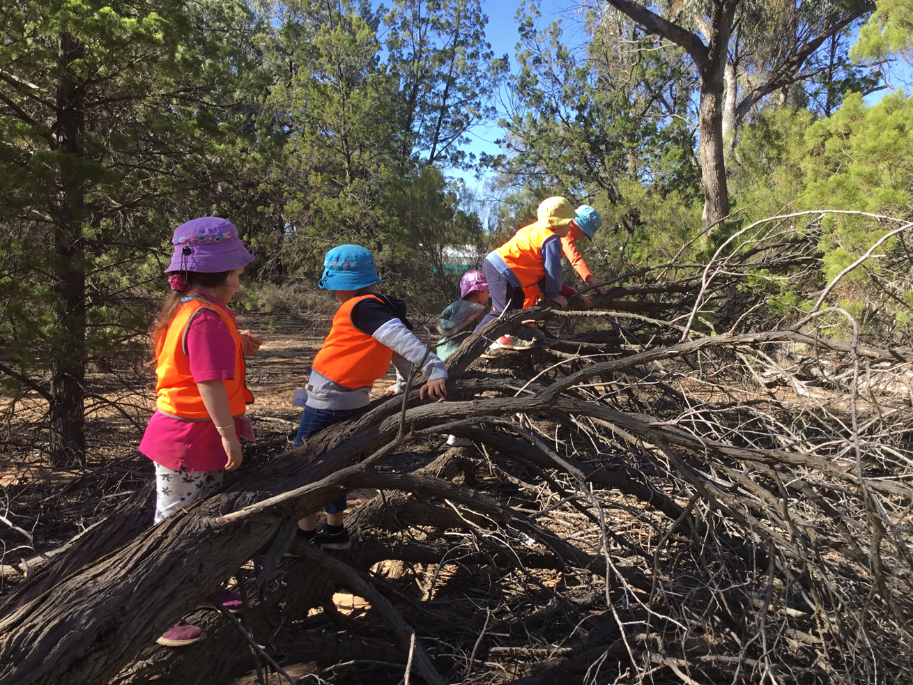 Bush kinder a community event | Goodstart